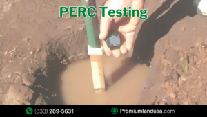 PERC Testing: What Is It and How Much Does It Cost?